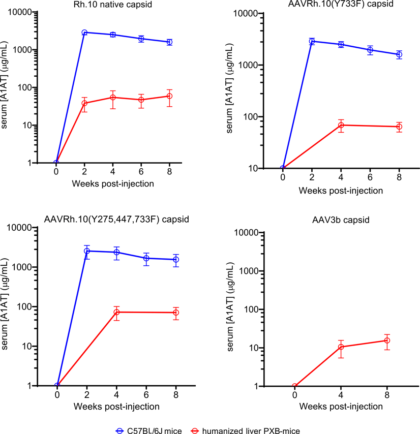 How PXB-mice with humanized livers enable better translational outcomes ...